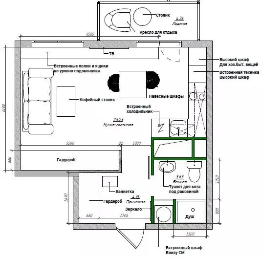 Projekt tygodnia: apartament na kawaler z kotem