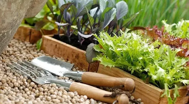 Überprüfen Sie das Blatt des Gärtens: Was Sie im April auf der Handlung Zeit haben müssen