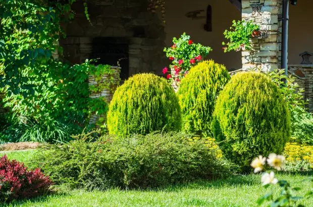 Foto: Stil, Tipps, Hütte im Frühling, Irina Lukyanova, Arbeit im Garten - Foto