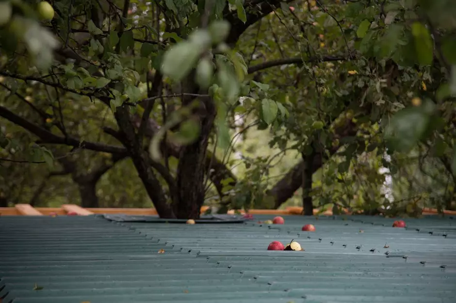 Jak připojit skleněnou verandu do domu: skutečný příklad 274099_9