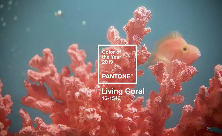 Kuishi Coral: 2019 Rangi kulingana na Taasisi ya Pantone