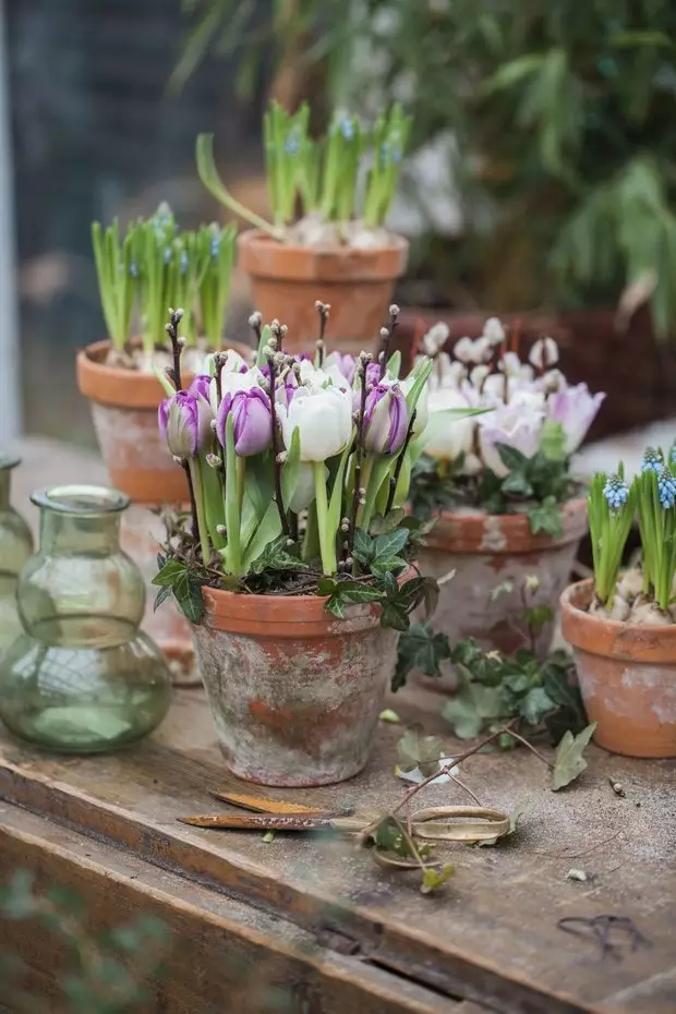 Foto: in stile, paesaggio, casa e cottage, come dotare la zona del paese, Derevo Park, idee per il giardino - Foto