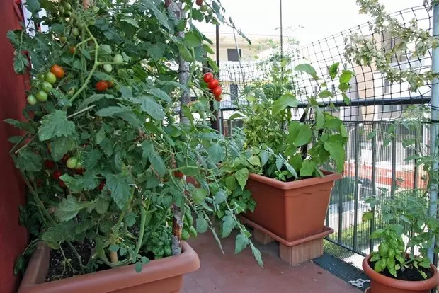 Foto: În stil, balcon, apartament, peisaj, casă și cabană, grădină pe balcon, mini-grădină pe balcon, Leroy Merlin, Natalia Shushlebin - Foto