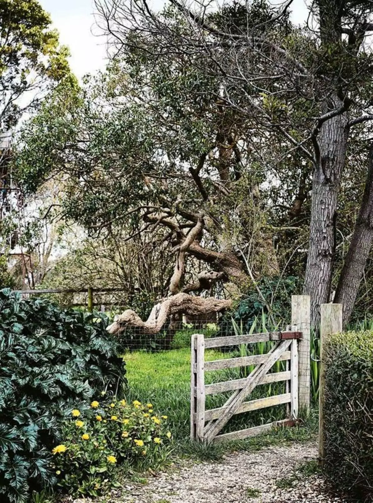 FOTO: U stilu, skandinavski, unutarnji dekor, kuća, Australija, bijela, minimalizam, sivo - fotografija