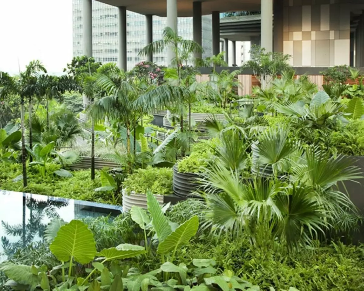 Foto: Landskap i moderne, hus og leiligheter, urbane steder, Brasil - Foto