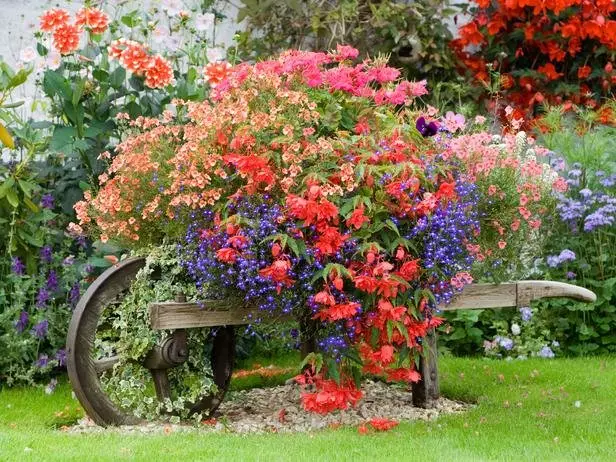 Foto: Florísticas en estilo, cociña e comedor, paisaxe, estilo de vida, casa de campo, para dar e xardín - Foto