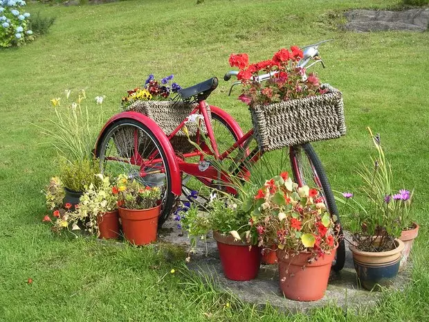 Photo: Floristics in style, kitchen and dining room, landscape, lifestyle, cottage, for giving and garden - Photo