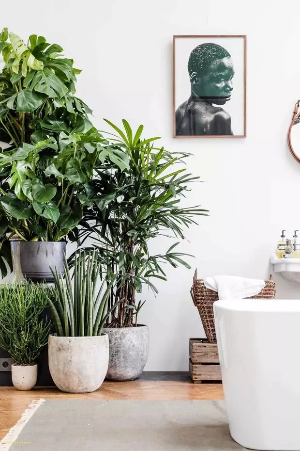 Foto: Baño en estilo moderno, Consellos, Fengshui, Maria Mamonova - Foto