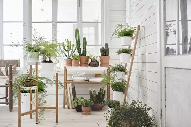 Foto: Scandinavian balkon, dekorasyon enteryè, konsèy, plant nan enteryè a, Ambians lavi teknoloji - foto