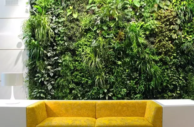 Foto: Florísticas en estilo, decoración de interiores, suxestións, plantas no interior, Vibe Life Technologies - Foto