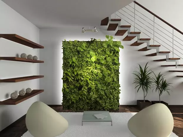 Foto: decoración de estilo ecolóxico, decoración de interiores, suxestións, plantas no interior, as tecnoloxías da vida vibrante - Foto