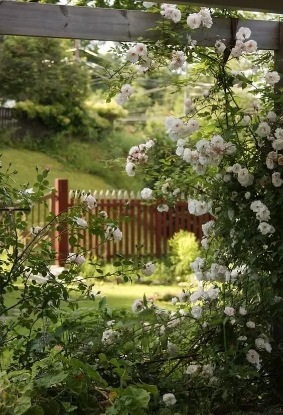 Grianghraf: seomra cistine agus bia i Provence agus stíl tíre, tírdhreach, bláthach, decor, leideanna, treoir - grianghraf