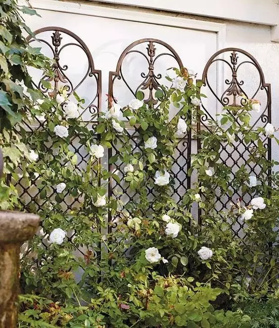 Foto: soggiorno in Provenza e stile paese, paesaggio, floristica, arredamento, consigli, guida - Foto