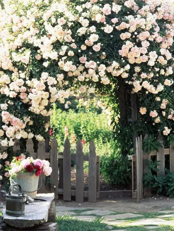 Foto: cucina e sala da pranzo in Provenza e stile paese, paesaggio, floristica, arredamento, consigli, guida - Foto