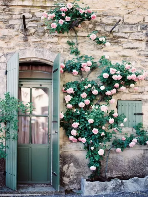 FOTO: dnevni boravak u provanjskoj i zemlji stilu, krajolik, floristry, dekor, savjeti, vodič - fotografija