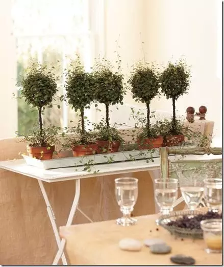 Foto: Eco Decor, Interior, Floristics, Tips - Foto