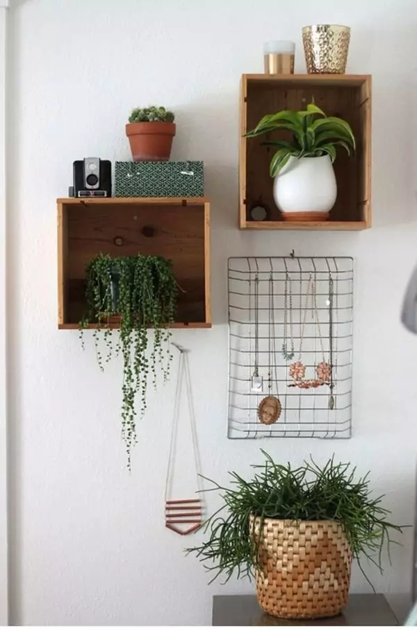 Foto: Eco Decor, Interior, Floristics, Tips - Foto