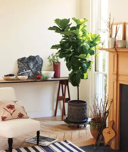 Foto: Floristiek in stijl, interieur, decor, tips - foto